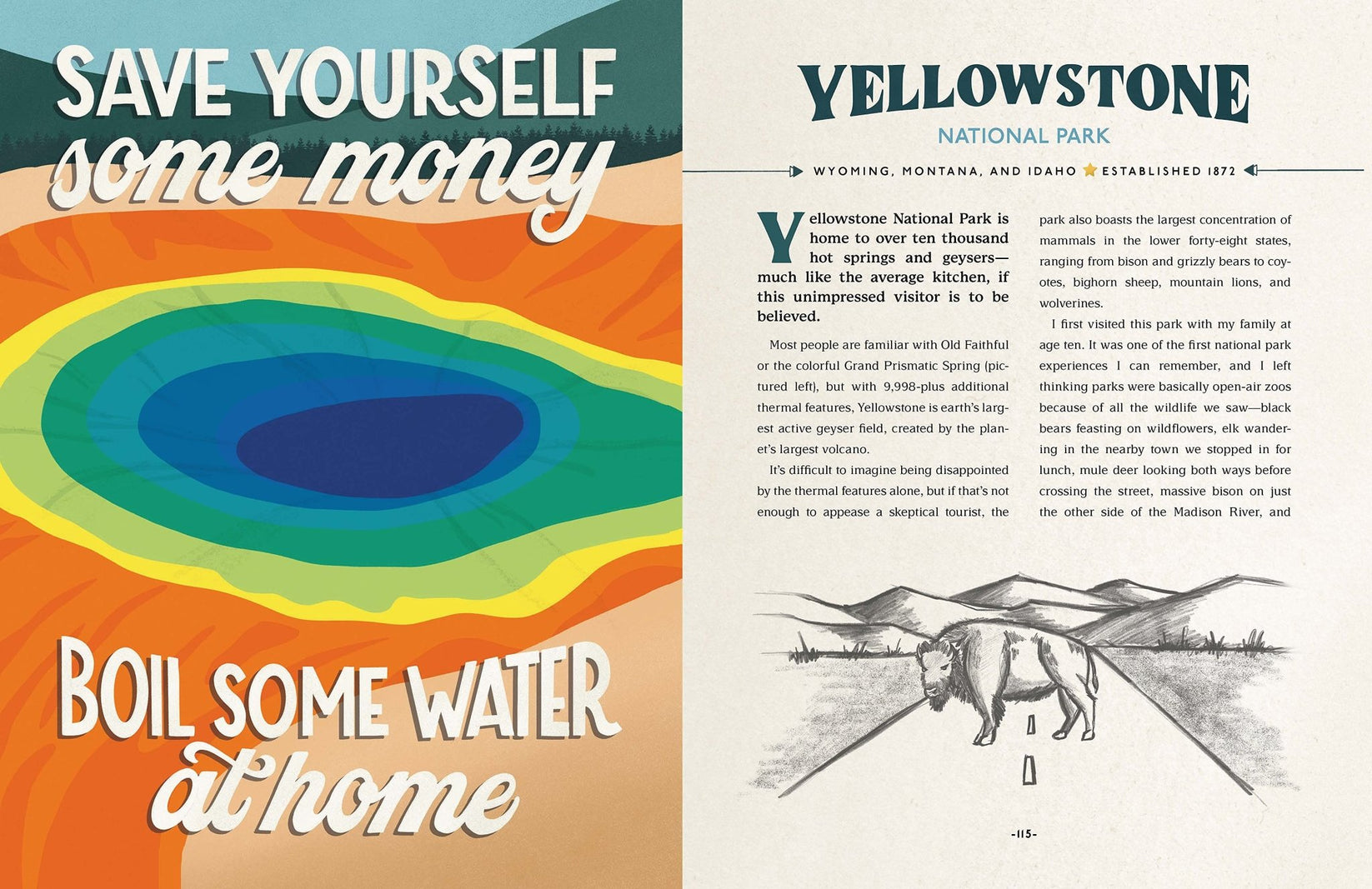 Subpar Parks Illustrated National Park Coffee Table Book – Amber Share ...