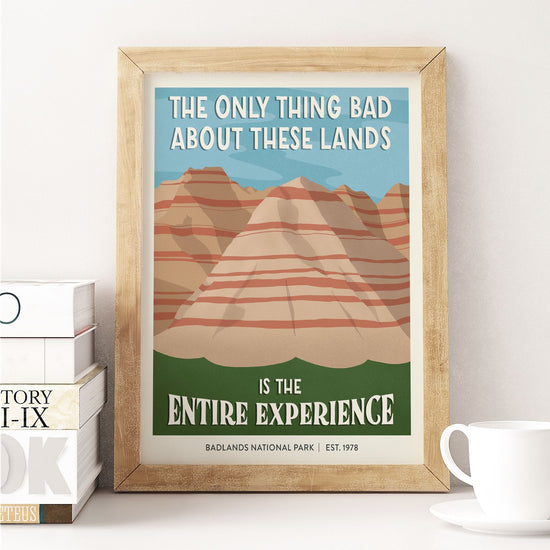 Subpar Parks™ Illustrated National Park 8x10 Print – Amber Share Design