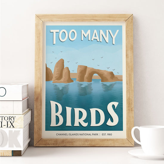 Subpar Parks™ Illustrated National Park 8x10 Print – Amber Share Design